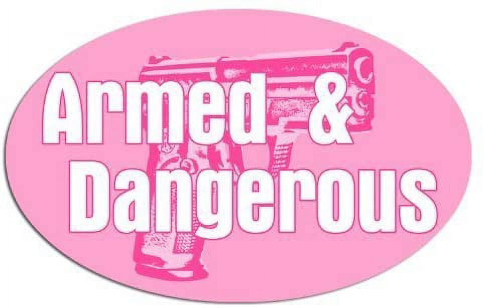 Pink Oval Armed & Dangerous Gun 3M Reflective sticker| Girl Female ...