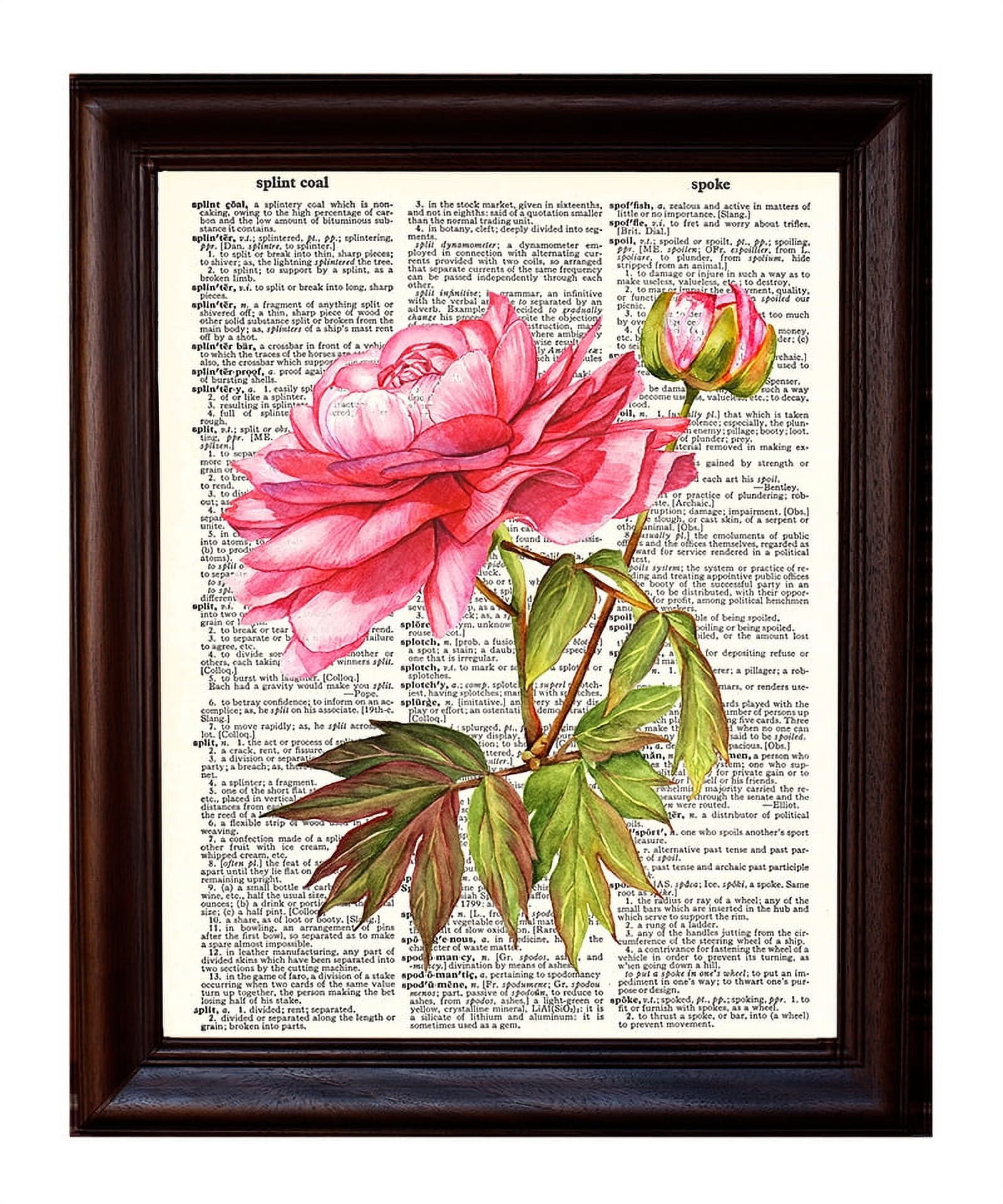 Pink Peony - Dictionary Art Print Printed On Authentic Vintage ...