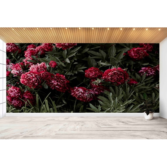 Pink Peony Wallpaper, Wallpaper Wall Art, Modern Wallpaper, 3d ...