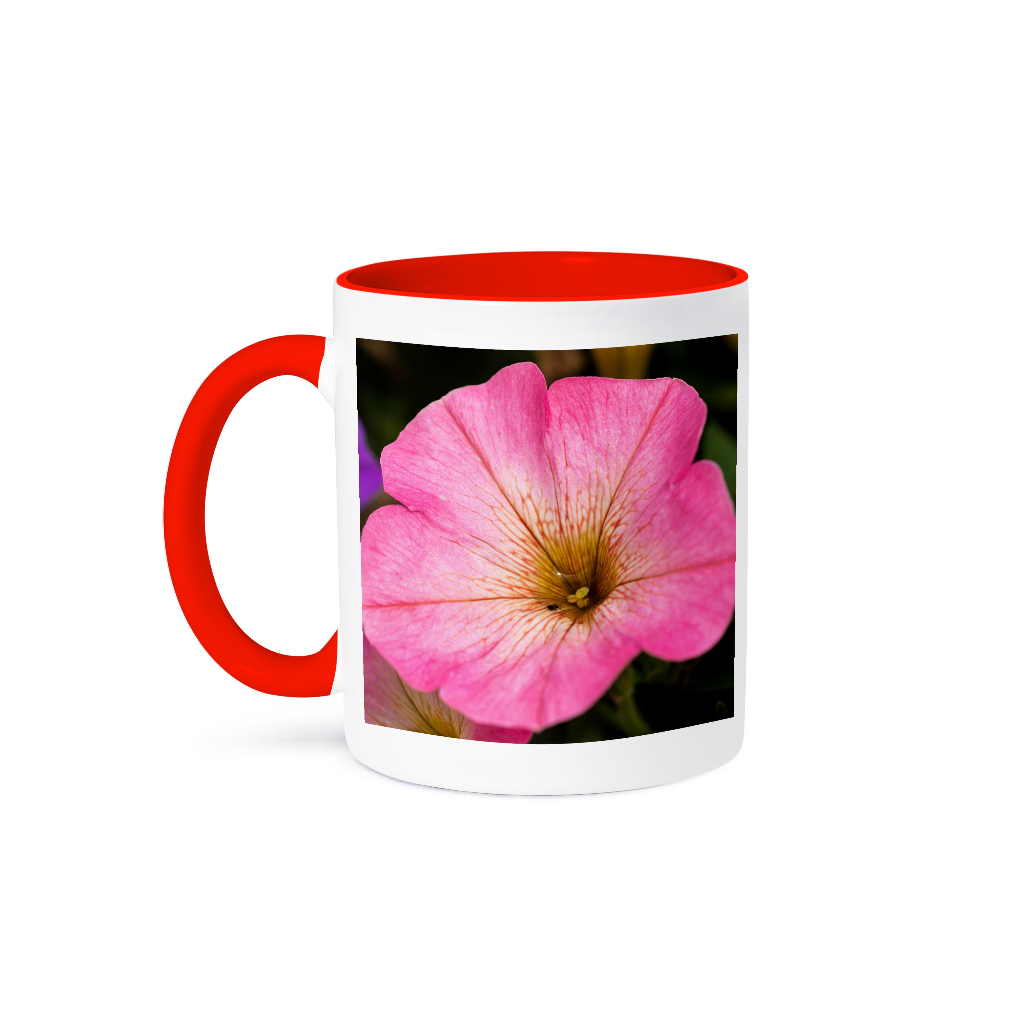 Pink Petunia Flower. A Bug Drinks Rainwater From Inside The Plant, 15oz ...