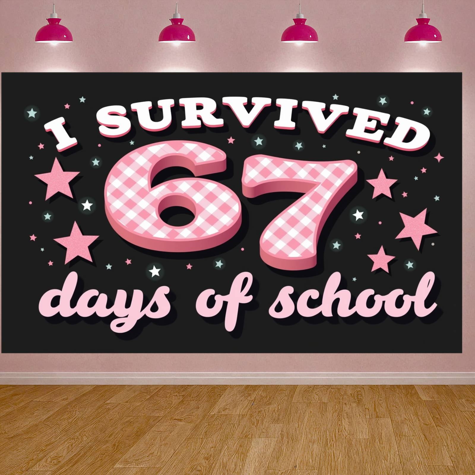 Pink Plaid Survived 67 Days Display Stars School Days Backdrop ...