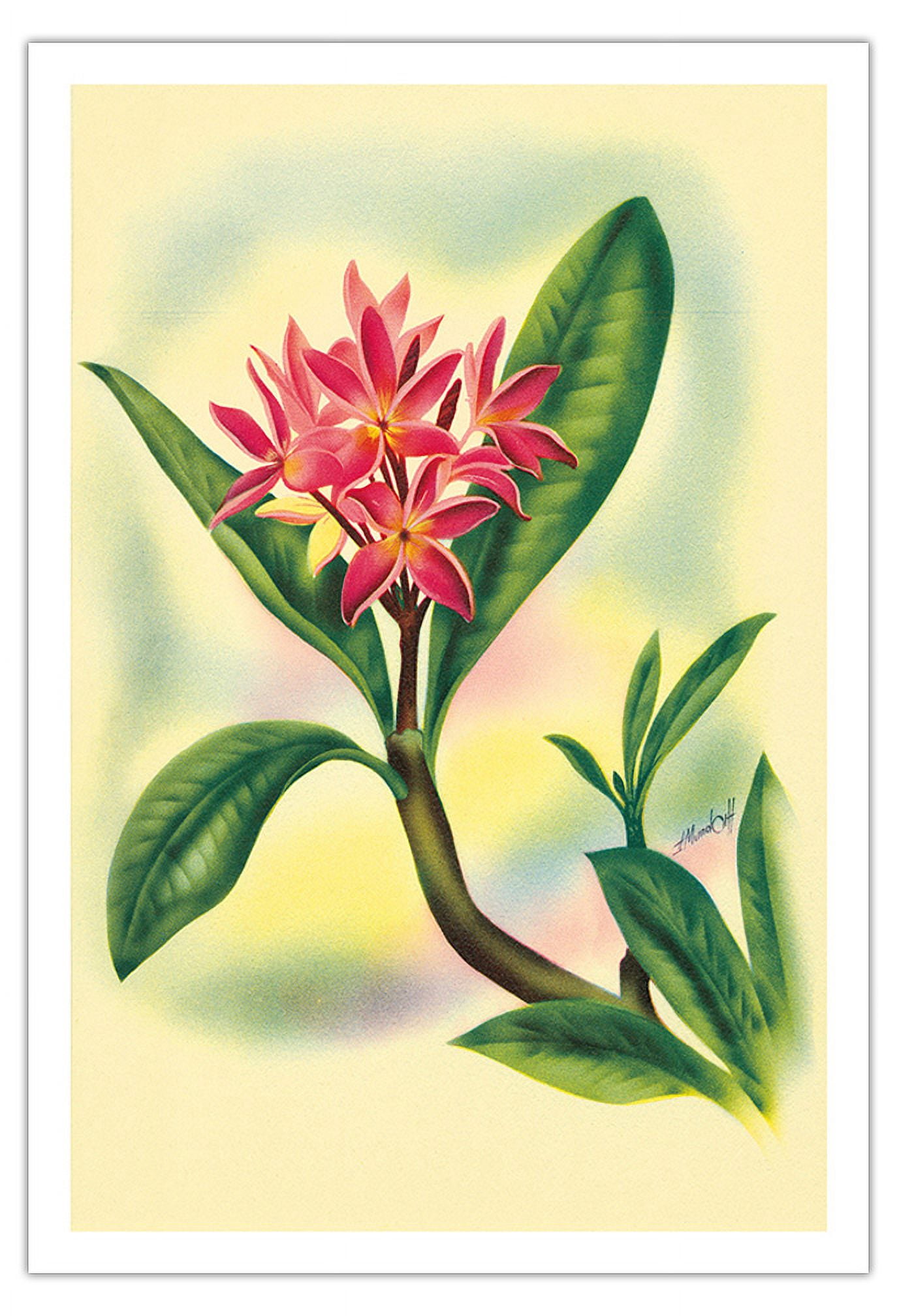 Pink Plumeria (Melia) - Vintage Hawaiian Airbrush Art by Ted Mundorff c ...
