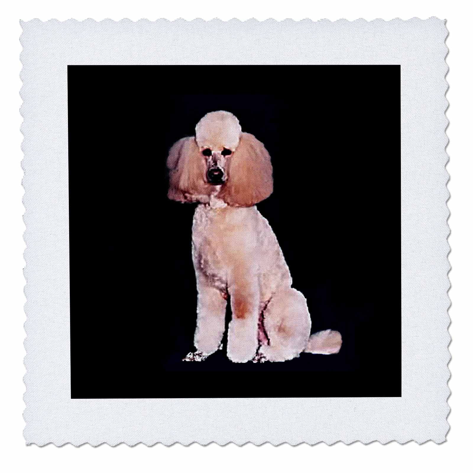 3dRose, Pink Poodle, 10x10 inch quilt square - Walmart.com
