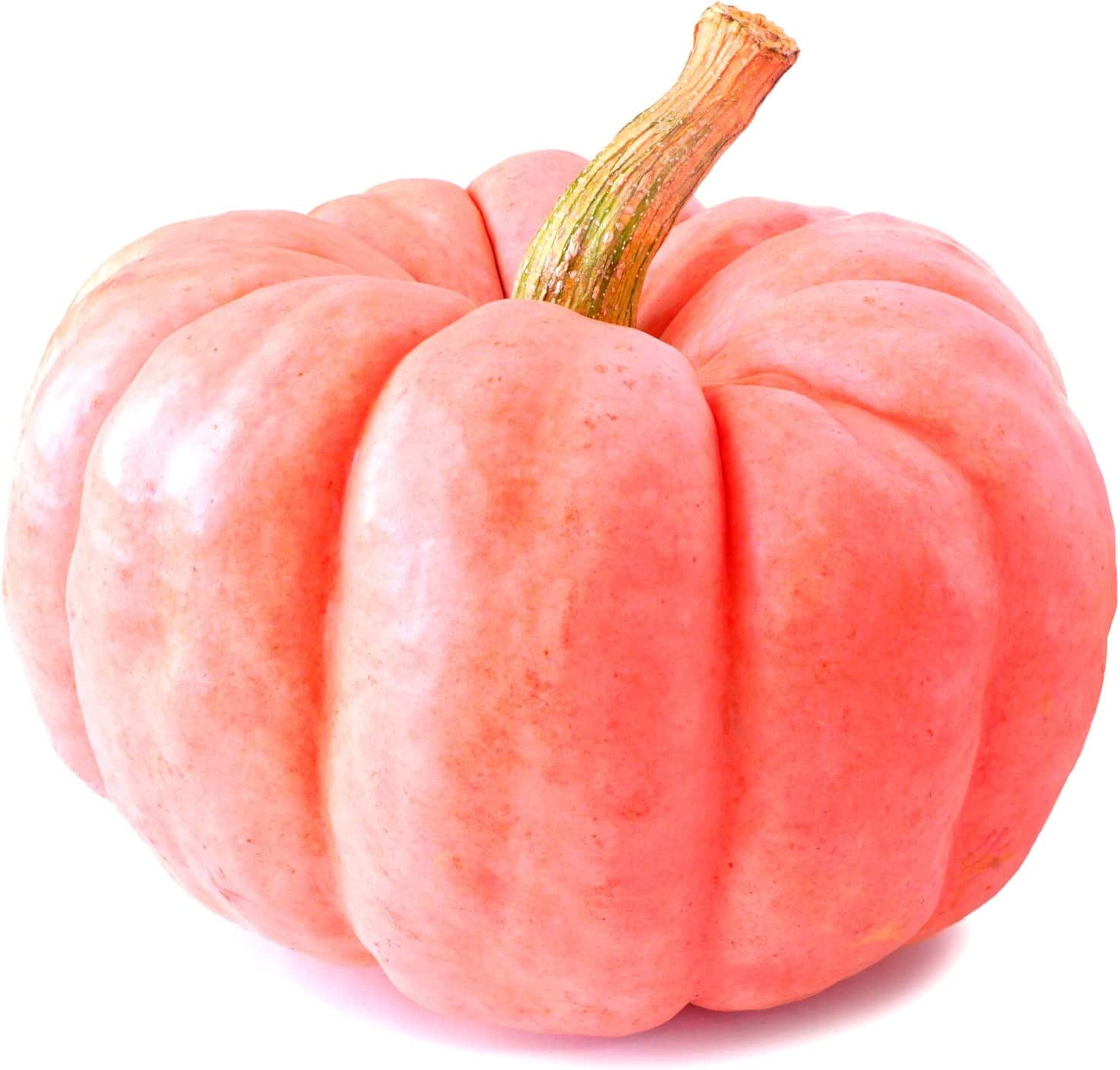 Pink Pumpkin Seeds for Planting - 5 Seeds - Porcelain Doll Pumpkins ...