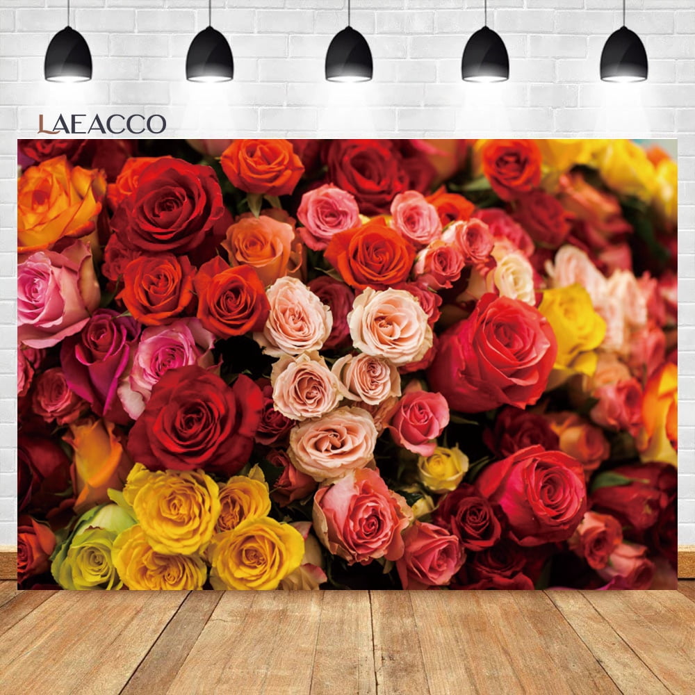 Pink Red Rose Wall Background Spring Tulip Garden Weeding Bridal Shower ...