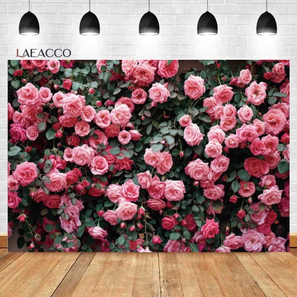Pink Red Rose Wall Background Spring Tulip Garden Weeding Bridal Shower ...