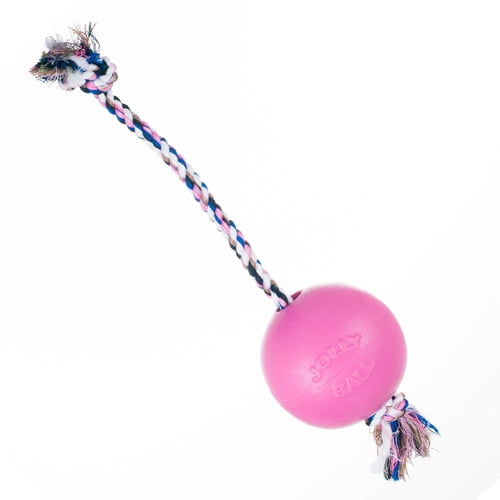 Pink Romp n Roll Ball Pet Ball - Medium - Walmart.com