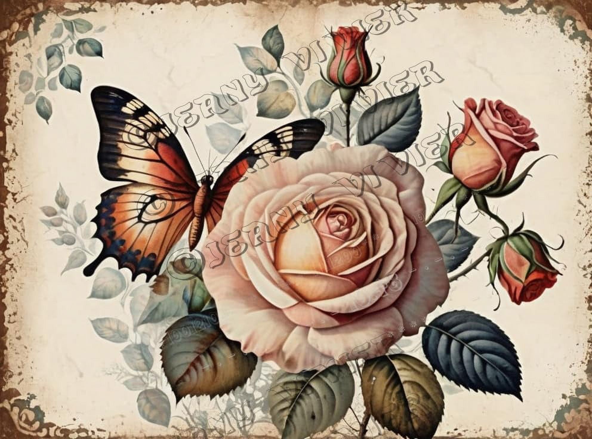 Pink Rose and Butterfly Retro Aluminum Sign 12"x8" Metal Sign Rose ...