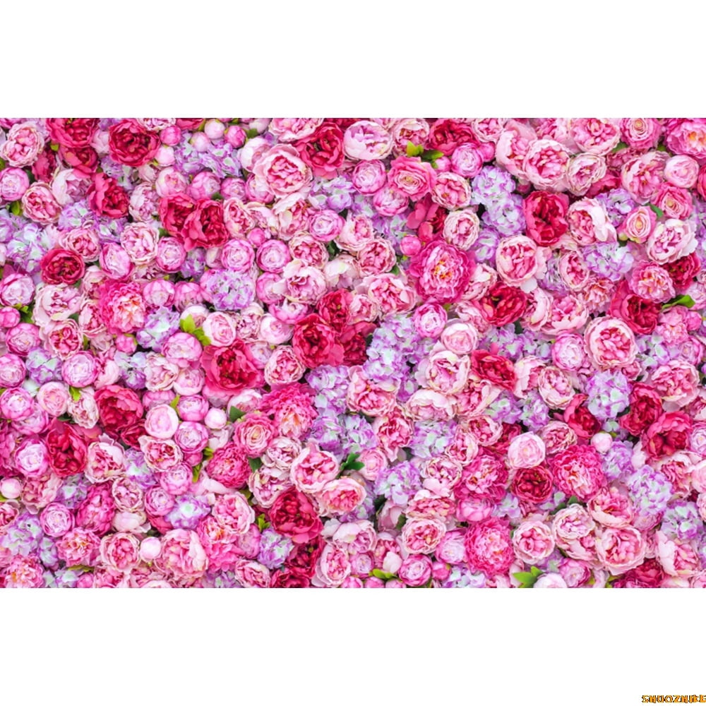 Pink Rose Flower Wall Photo Background Wedding Bridal Shower ...