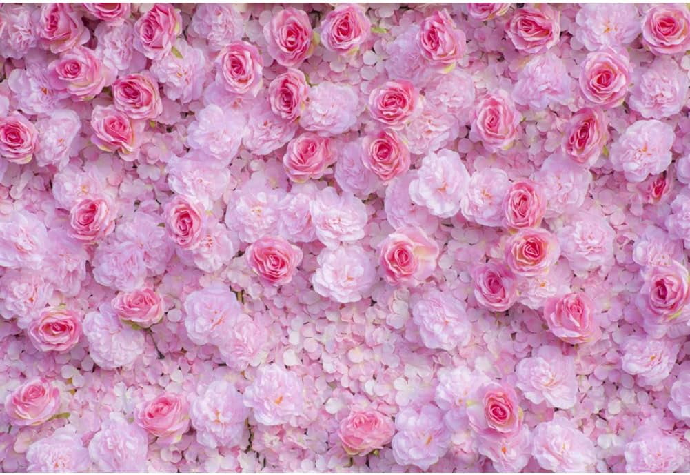 Pink Rose Wall Backdrop Spring Pink Petal Flowers Bridal Shower Photo ...