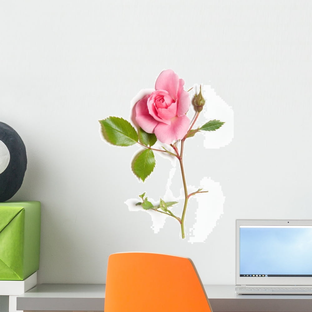 Pink Rose Wall Decal by Wallmonkeys Peel and Stick Graphic (18 in H x ...