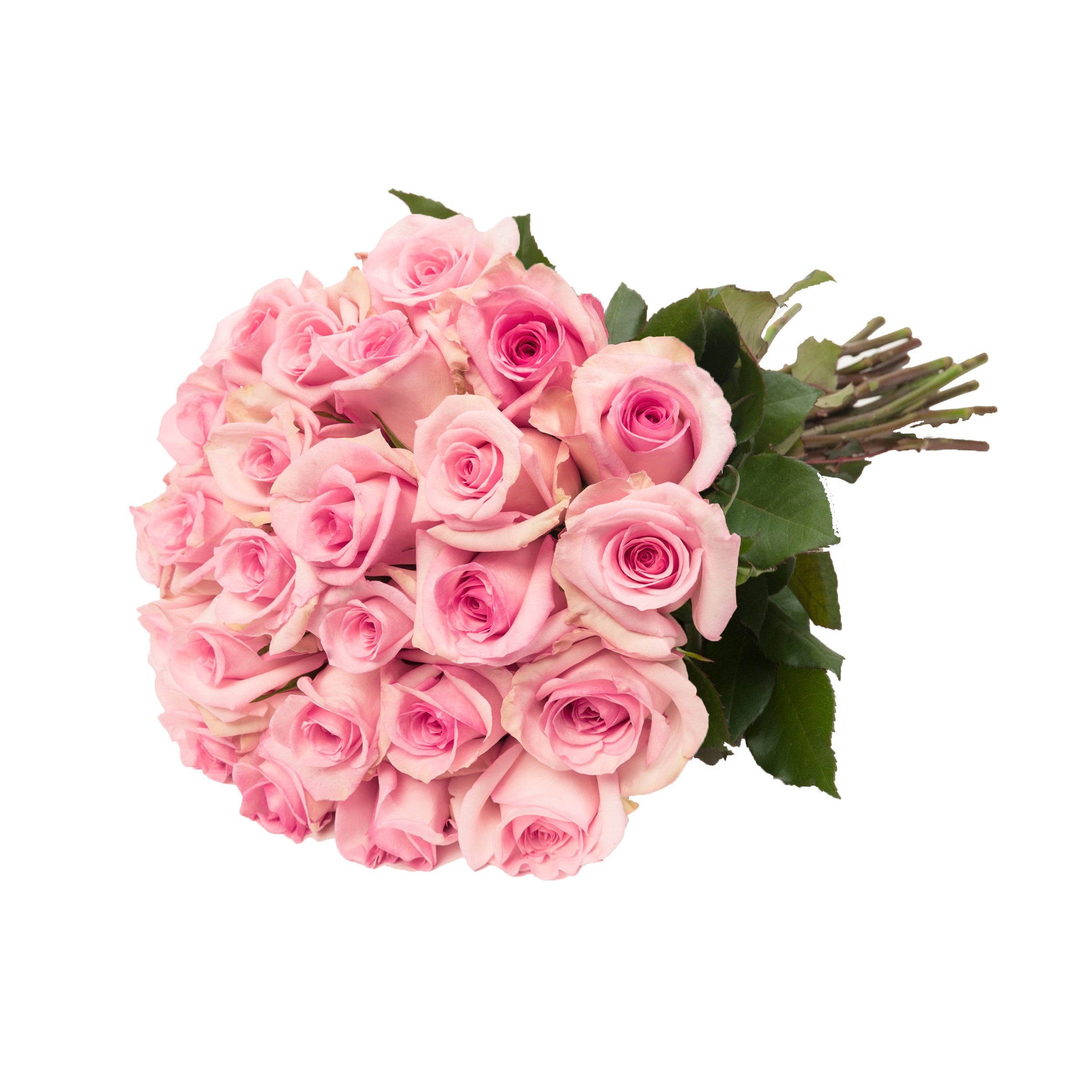 Pink Roses Gift - Farm Direct Fresh Cut Flowers - 24 Stems - by ...