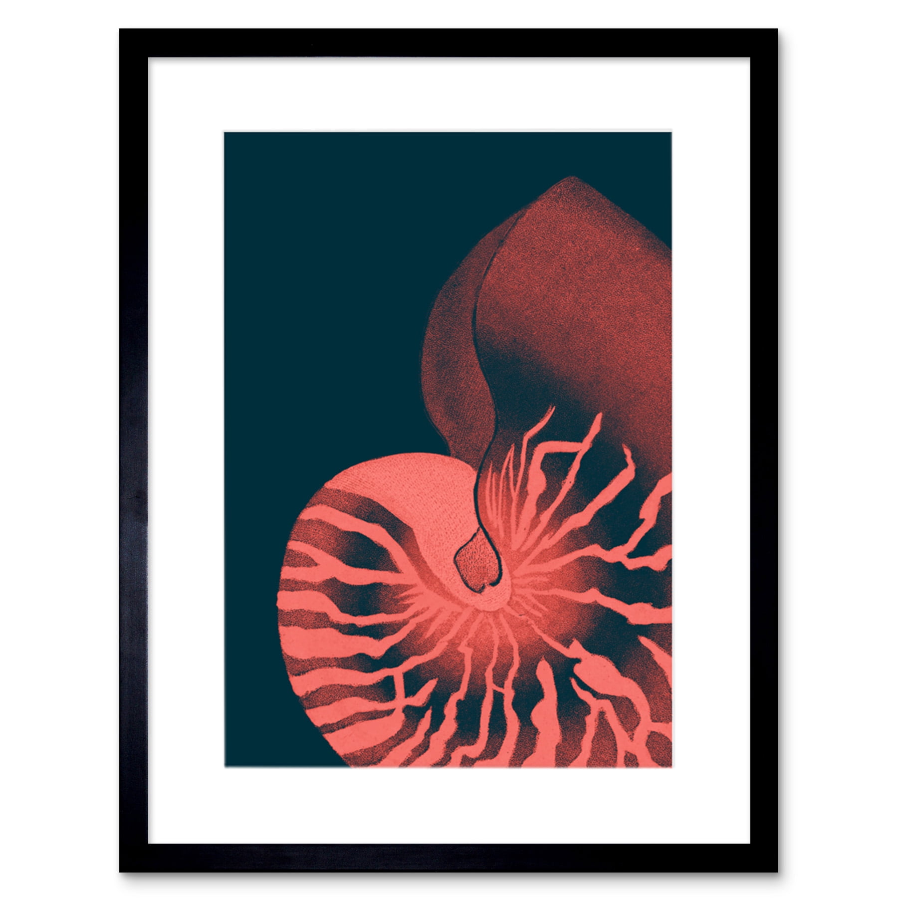 Pink Seashell Nautilus Artwork Framed Wall Art Print 9X7 Inch - Walmart.com