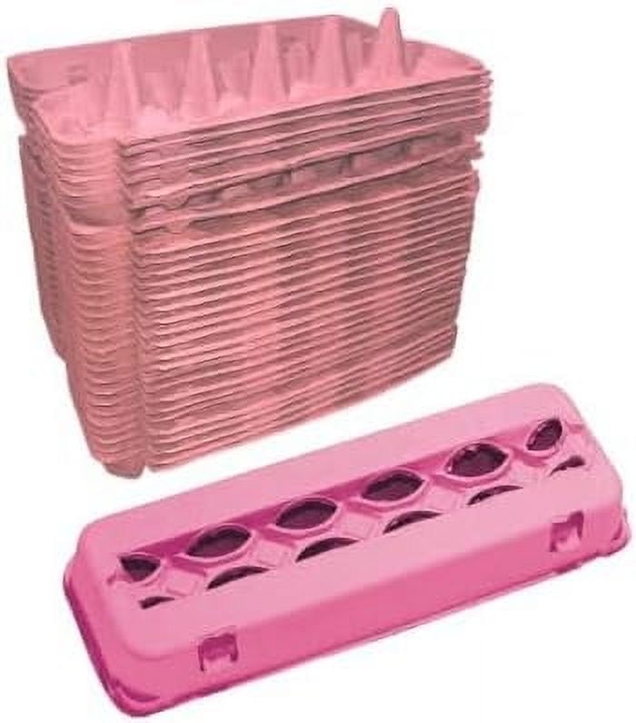 Pink Tint Colored Blank Egg View Top Paper Pulp Carton - Walmart.com
