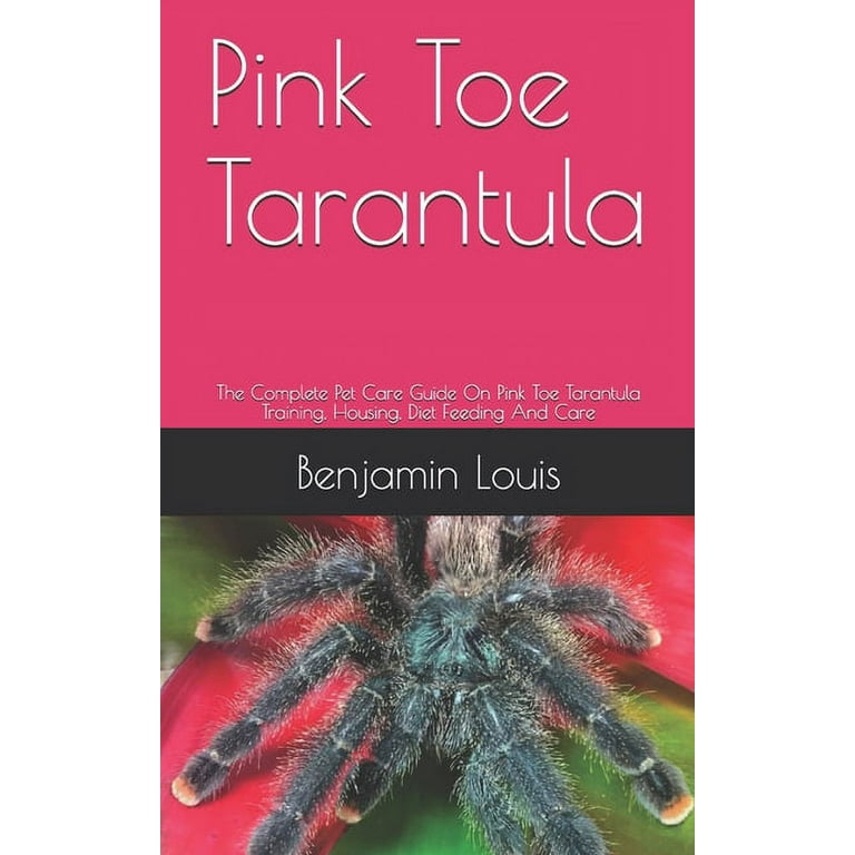 Pink Tarantula