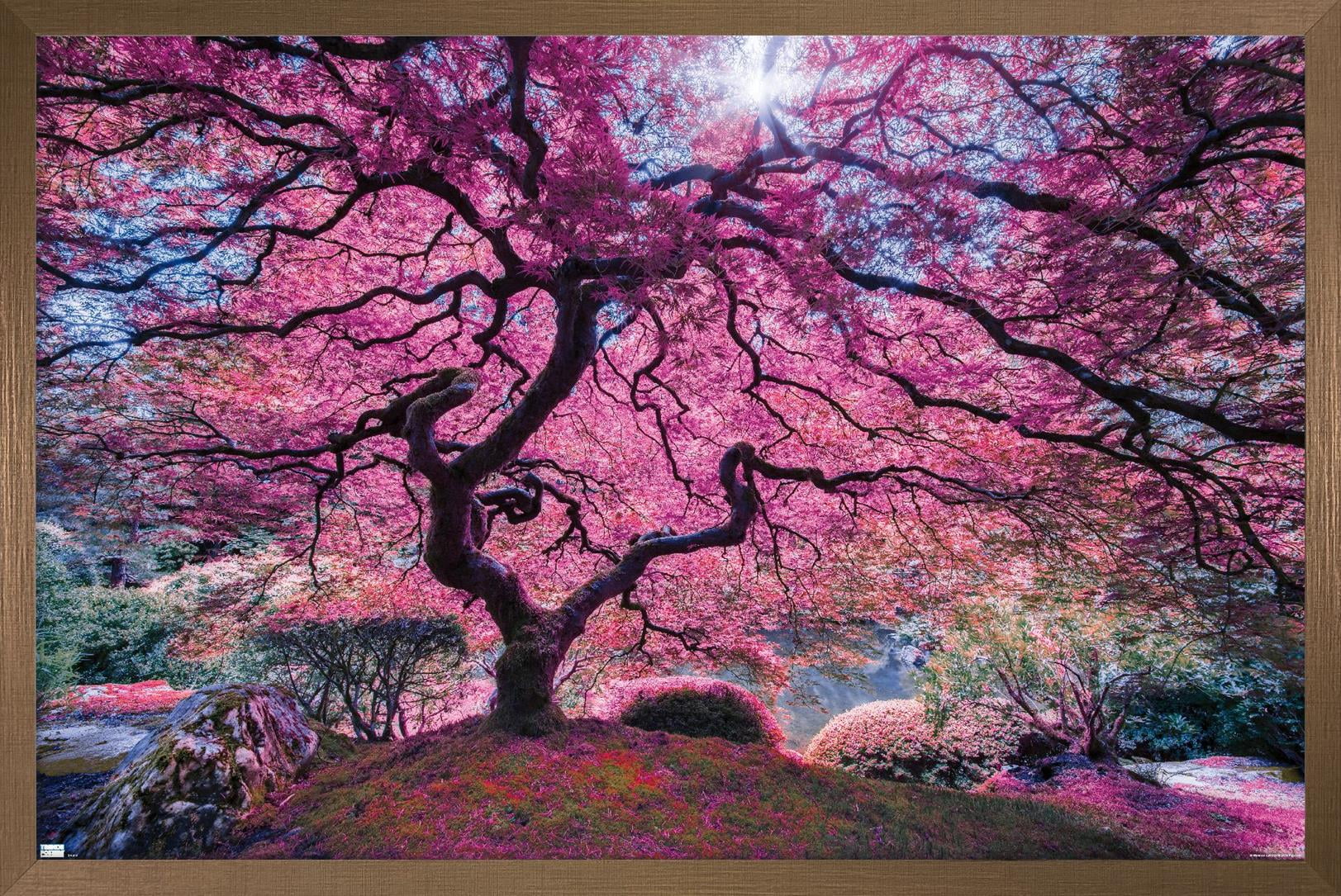 Pink Tree 2 by Moises Levy Wall Poster, 22.375" x 34" Framed - Walmart.com