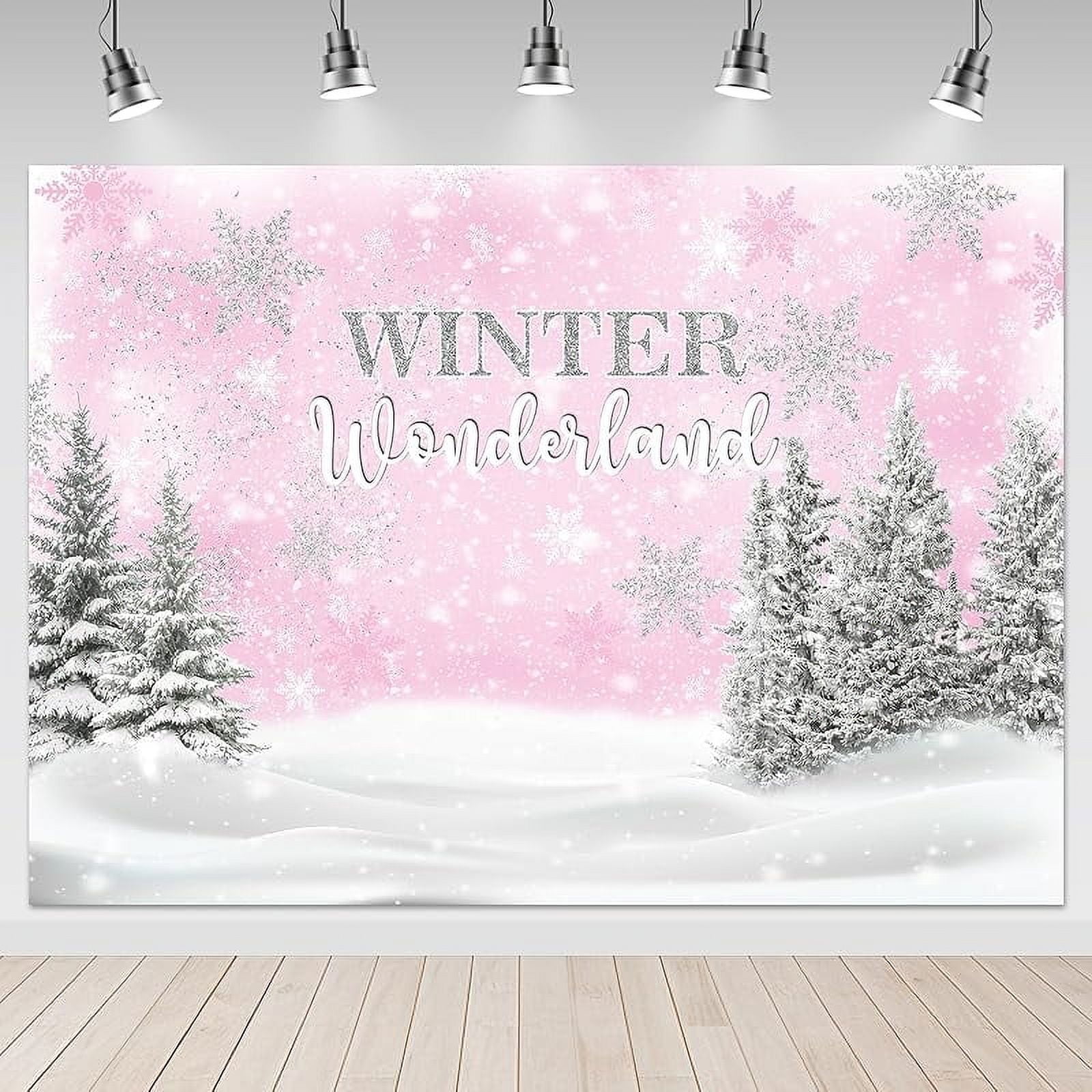 Pink Winter Wonderland Backdrop Winter Girl Birthday Background Pink ...