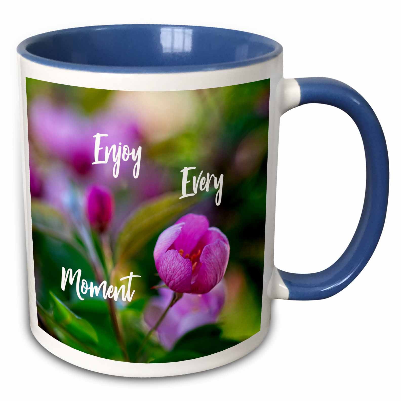 Pink crabapple flowers, green background, the text Enjoy Every Moment ...