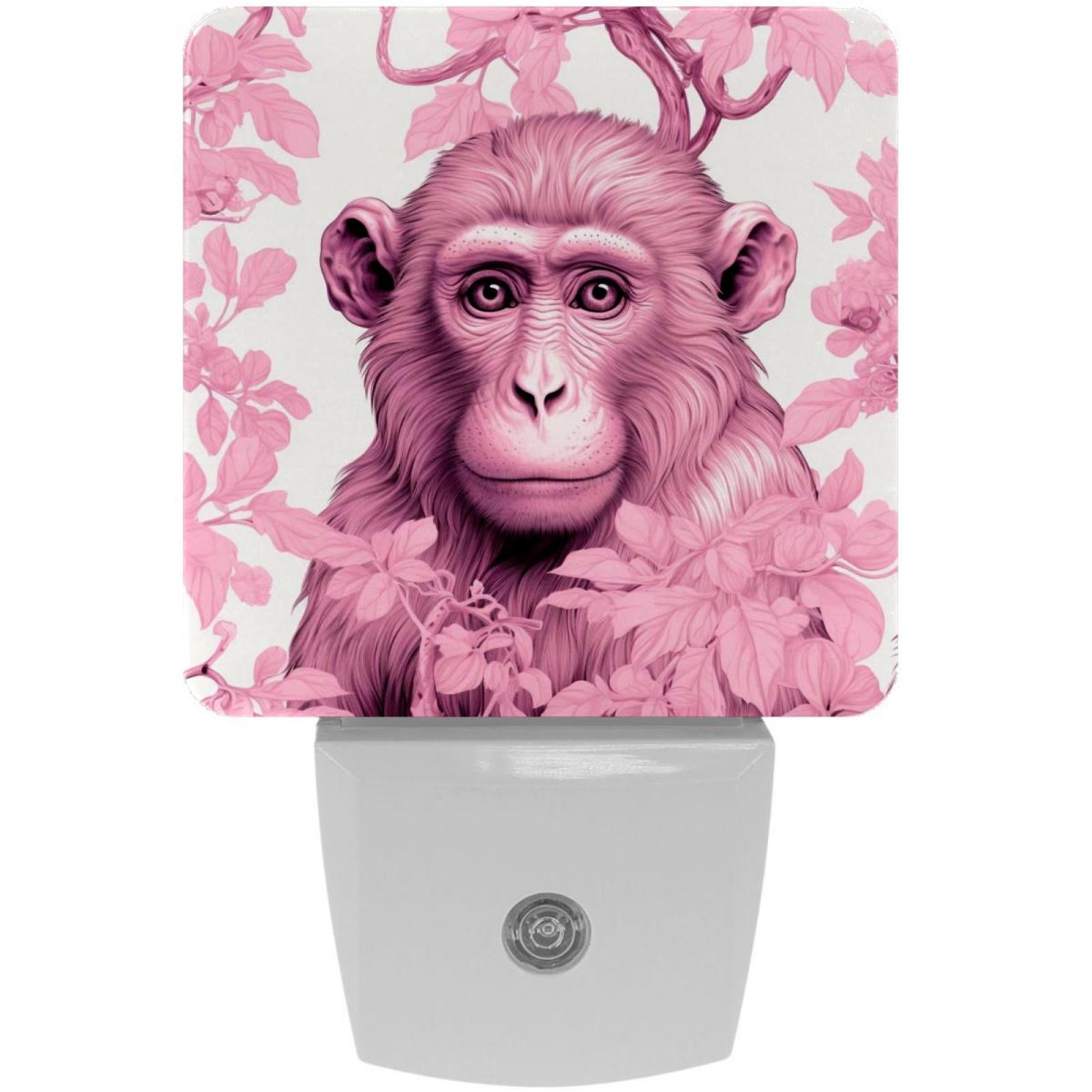 Pink monkey orangutan LED Square Night Light - Energy Efficient and ...