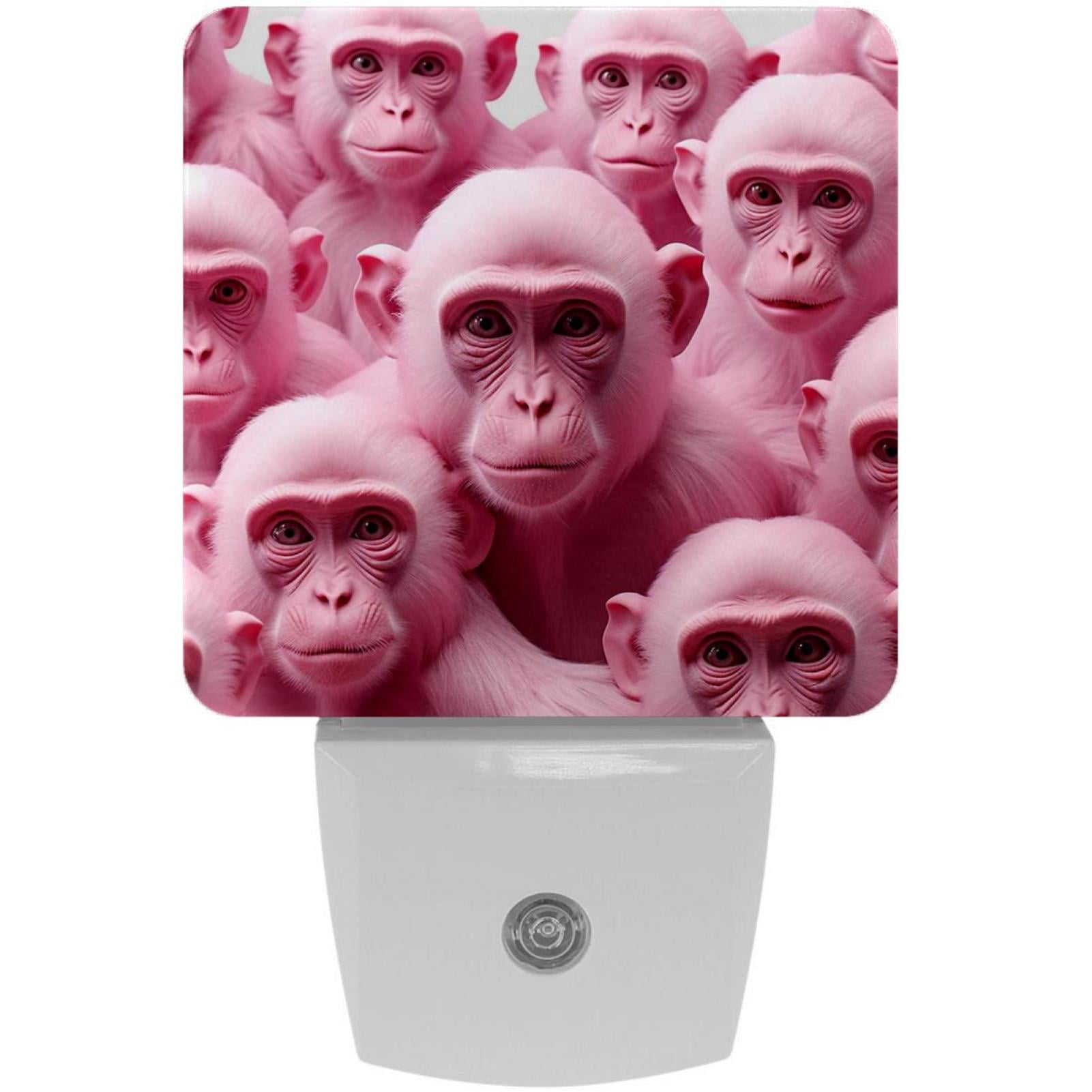 Pink monkey orangutan LED Square Night Lights - Elegant and Energy ...