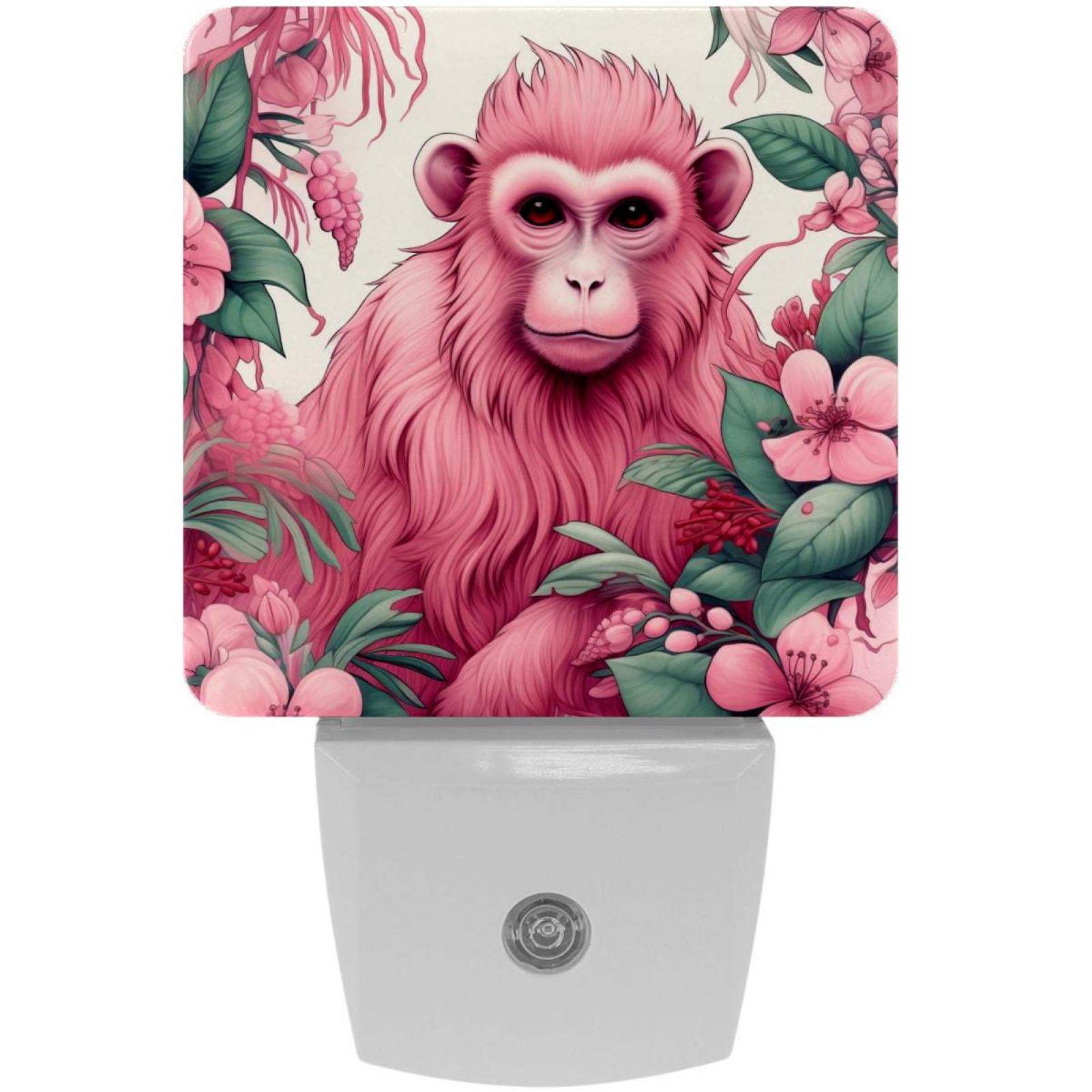 Pink monkey orangutan LED Square Night Lights - Energy Efficient and ...