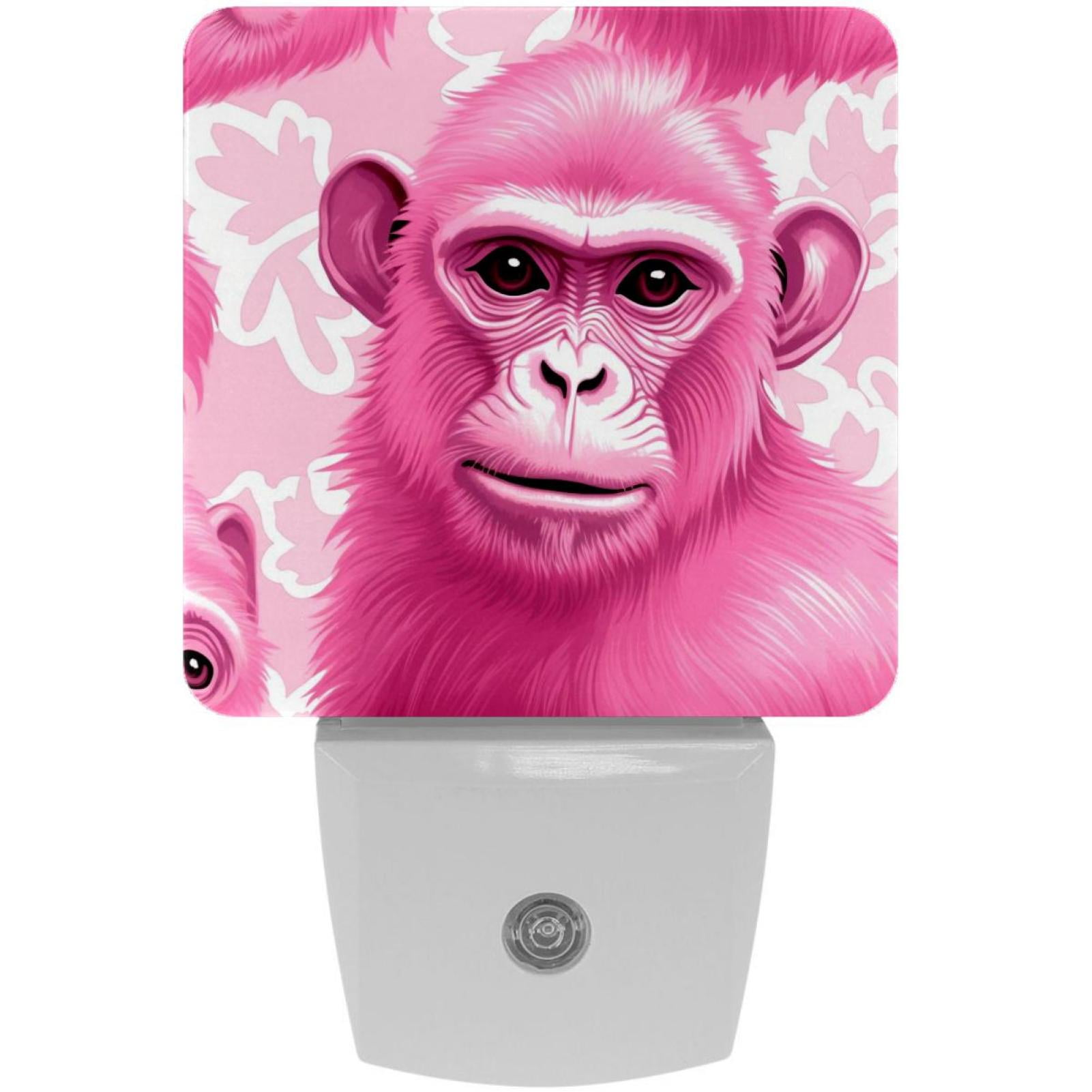 Pink monkey orangutan LED Square Night Lights- Modern and Energy ...