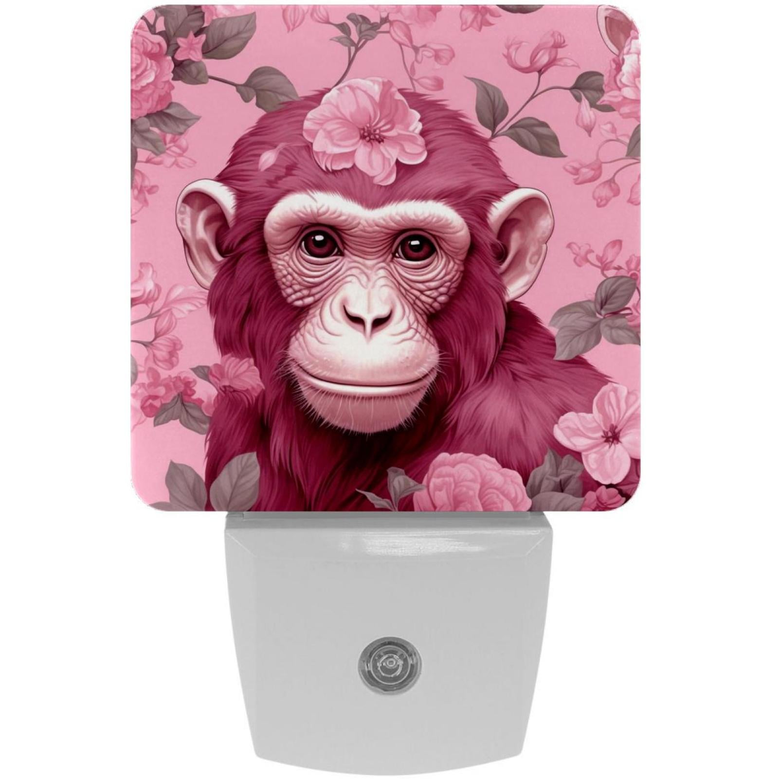 Pink monkey orangutan LED Square Night Lights - Small and Bright ...