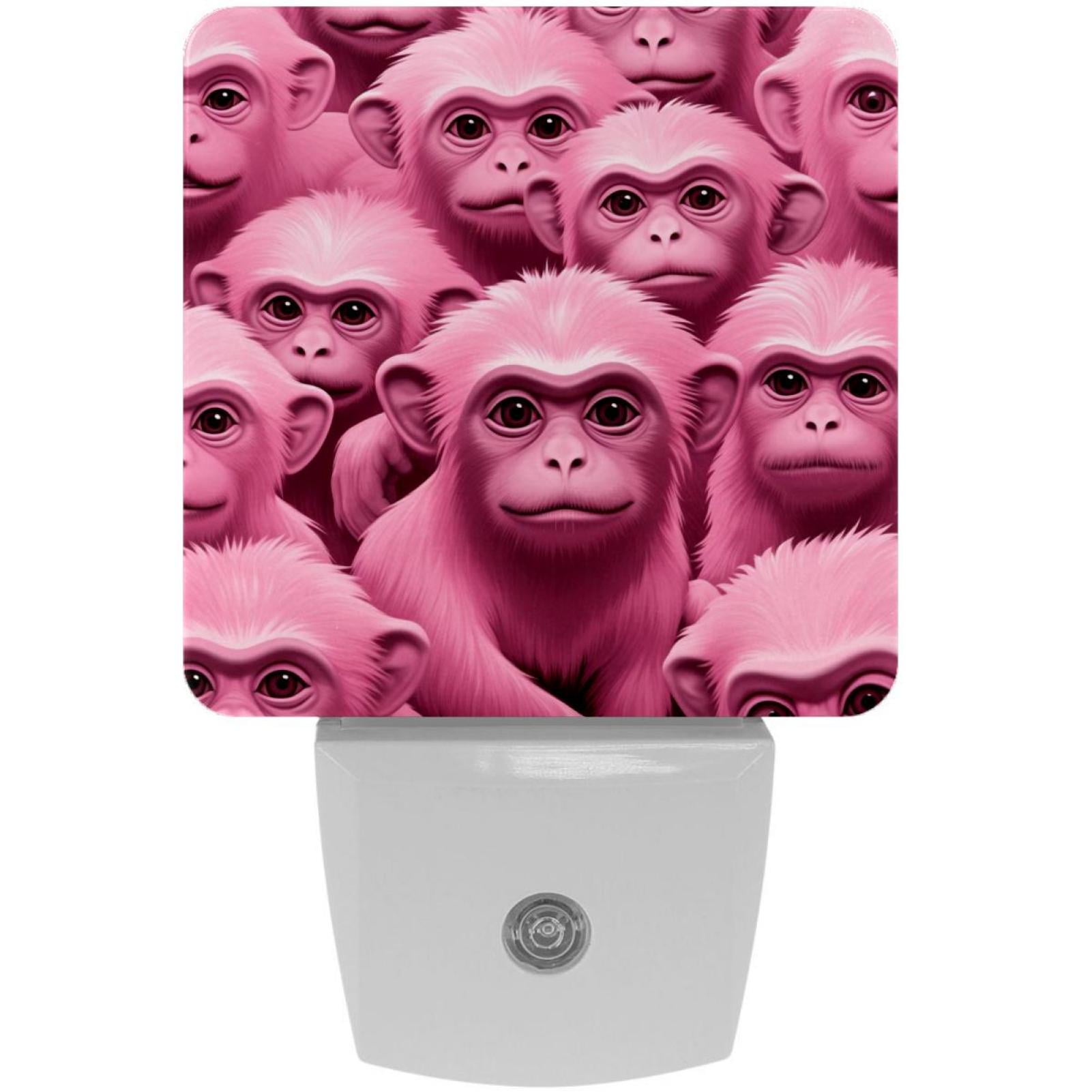 Pink monkey orangutan LED Square Night Lights - Small and Bright ...