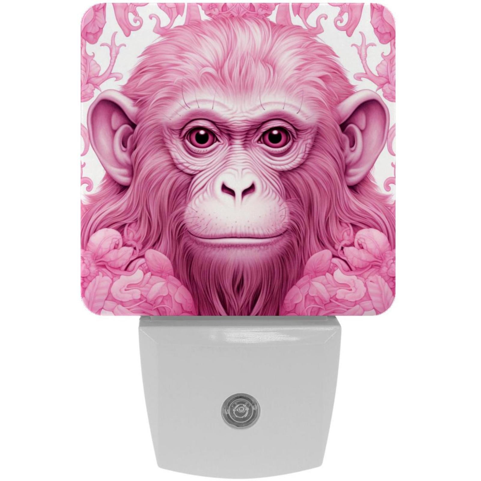 Pink monkey orangutan LED Square Night Lights - Stylish and Energy ...