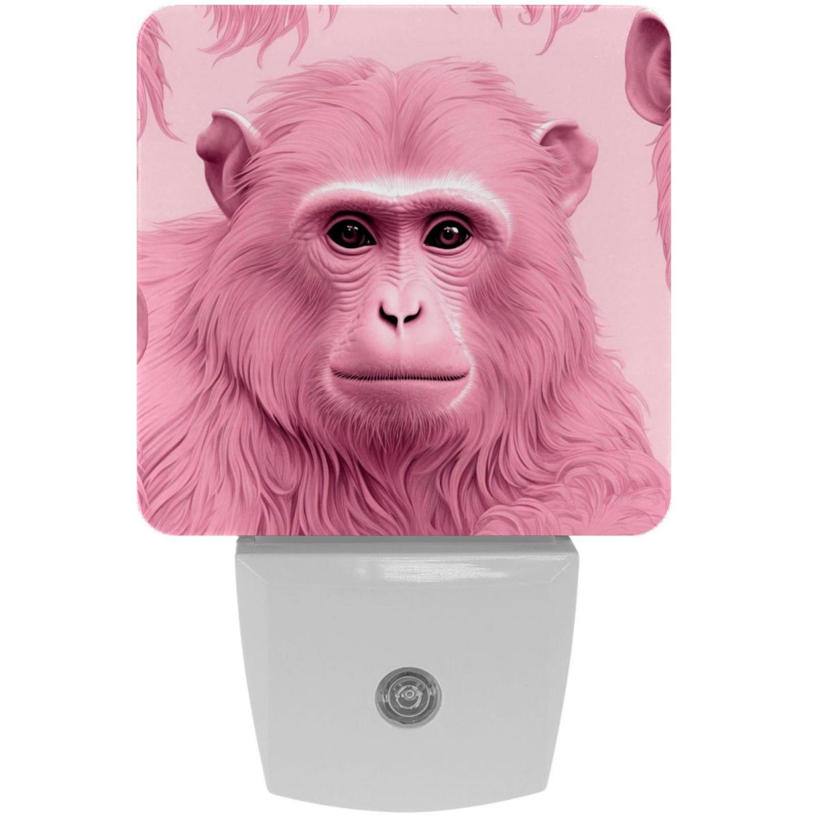 Pink monkey orangutan LED Square Night Lights - Stylish and Energy ...