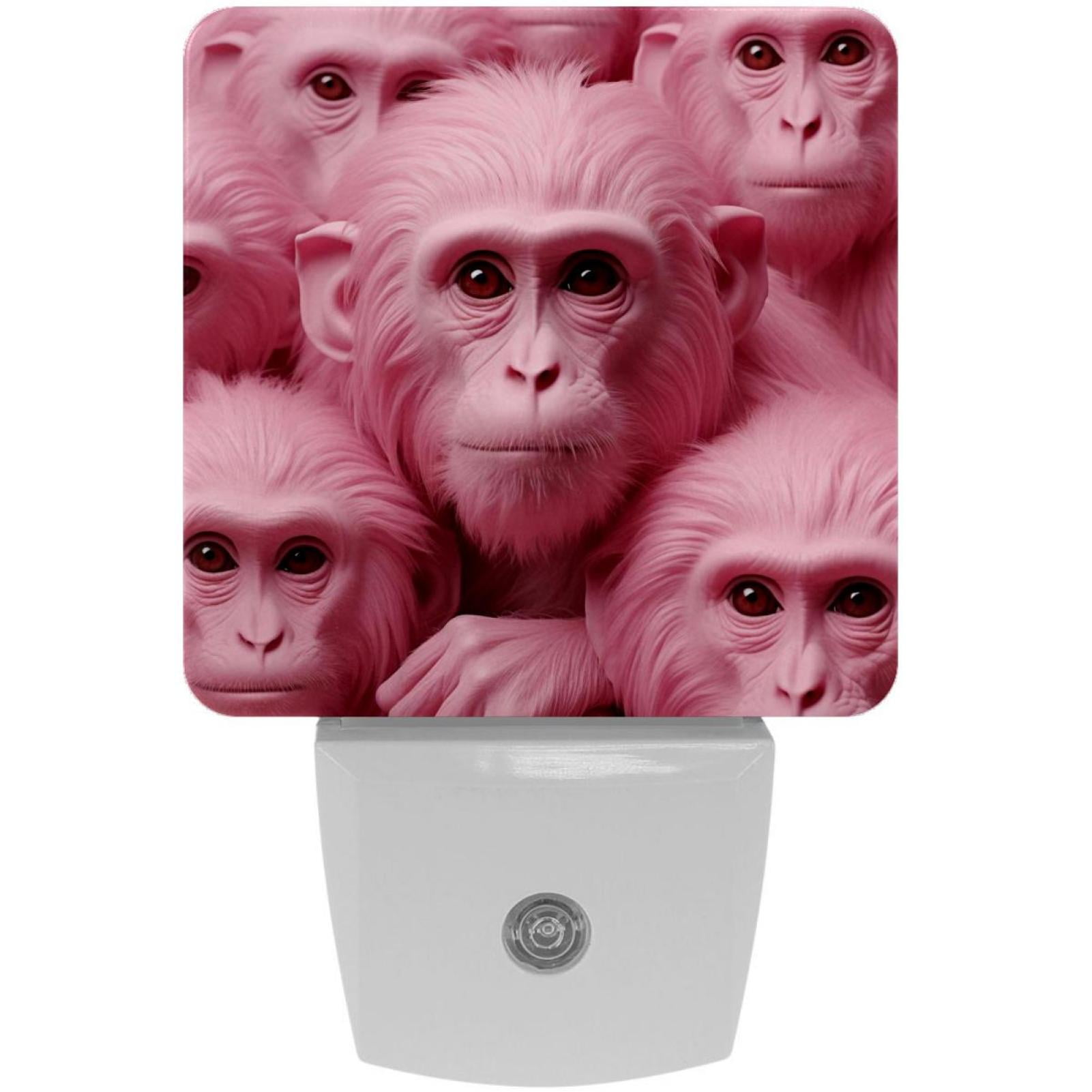 Pink monkey orangutan LED Square Night Lights - Stylish and Energy ...