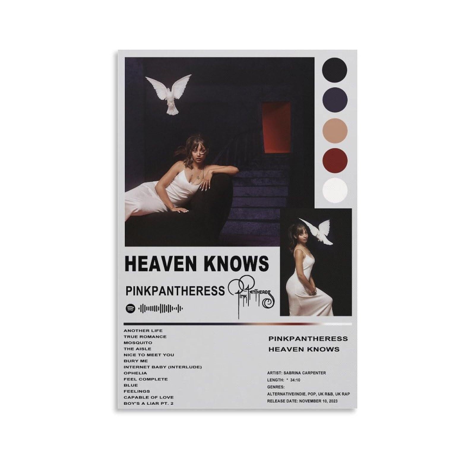 PinkPantheress Heaven Knows Music Cover Posters Canvas Poster Bedroom ...