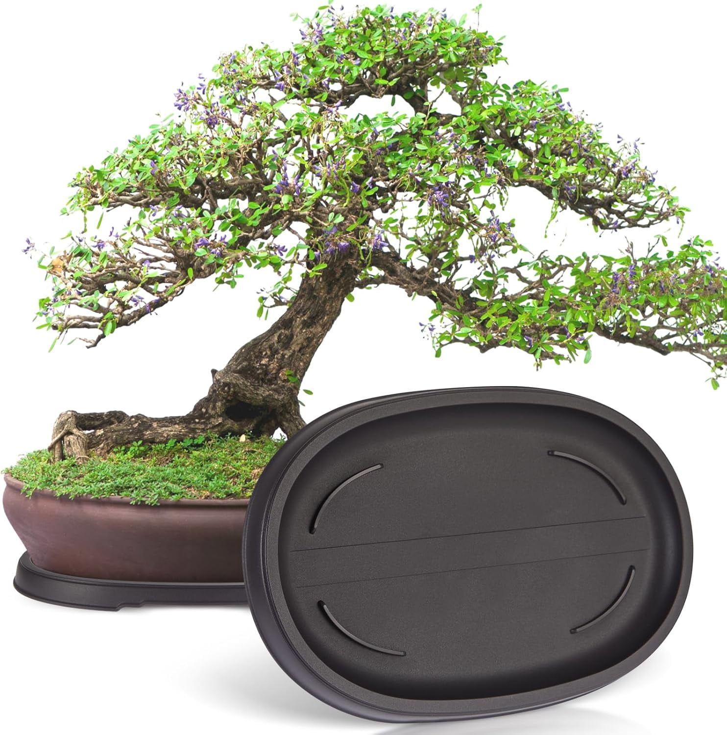Pinkunn 2 Pack Bonsai Humidity Tray Drip Tray Plastic Plant Water ...