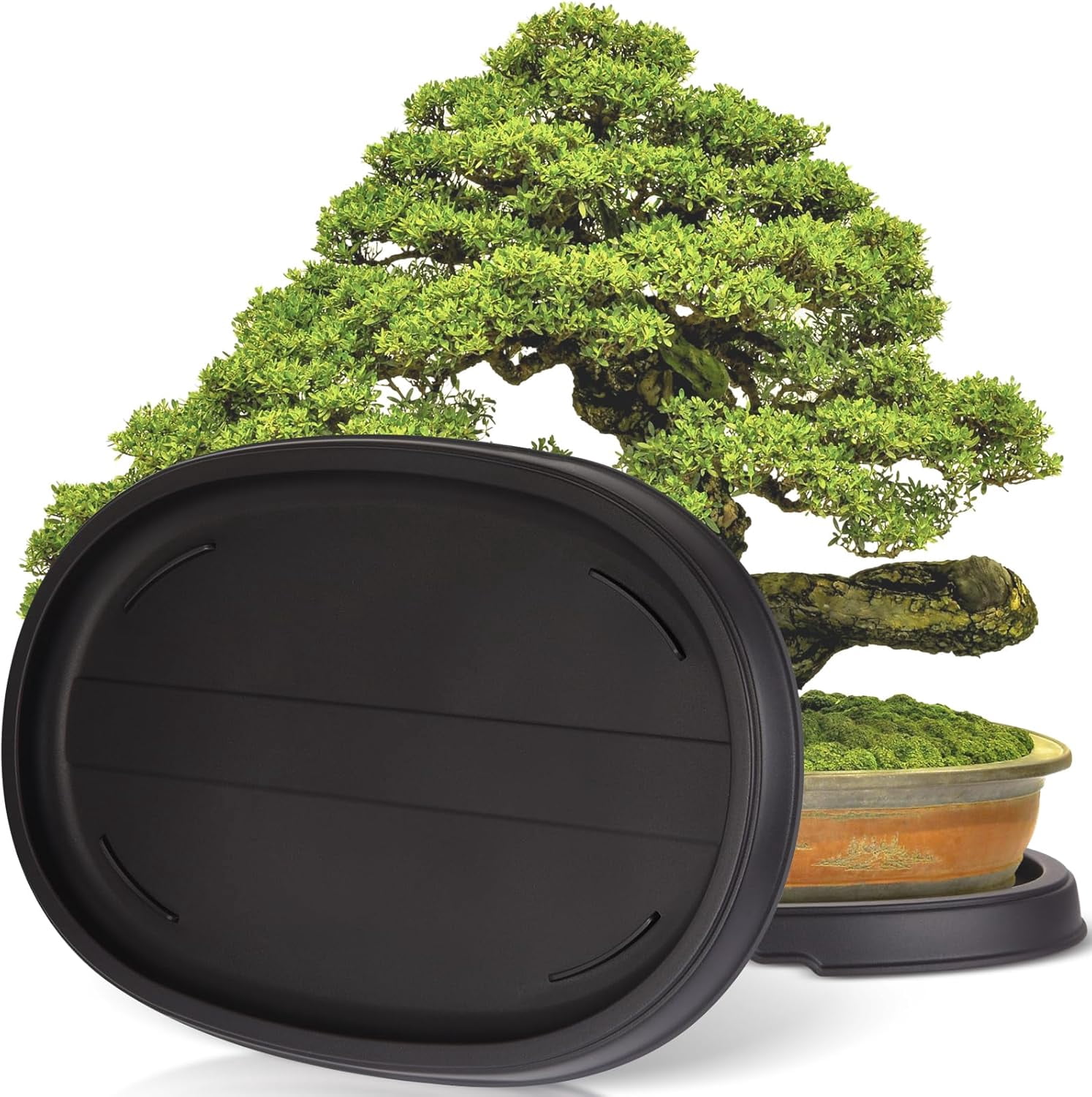 Pinkunn 2 Pack Bonsai Humidity Tray Drip Tray Plastic Plant Water ...