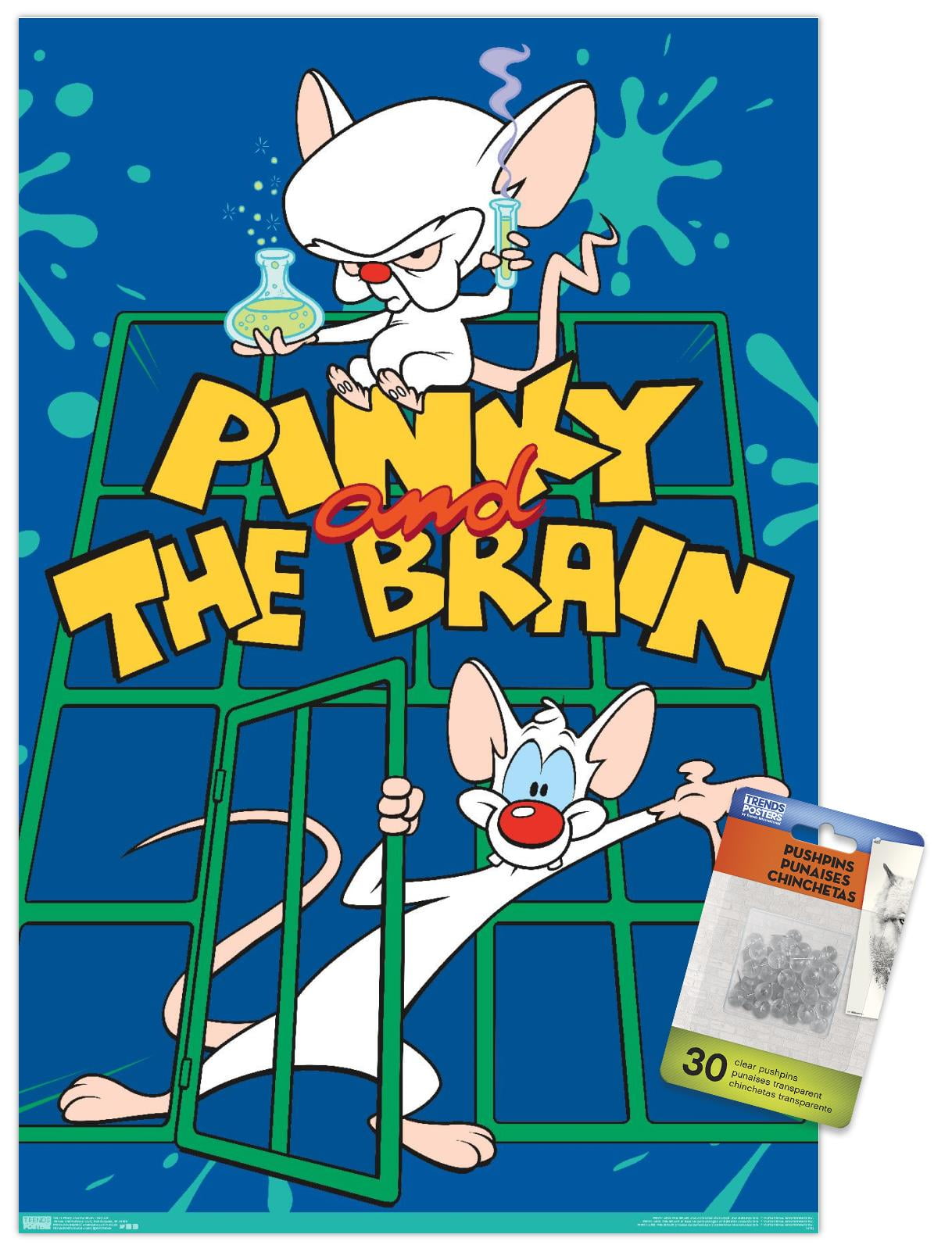 Pinky And The Brain - Key Art Wall Poster with Pushpins, 14.725" x 22. ...