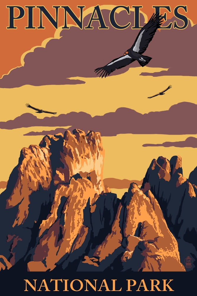 Pinnacles National Park, California, Condors (12x18 Wall Art Poster ...