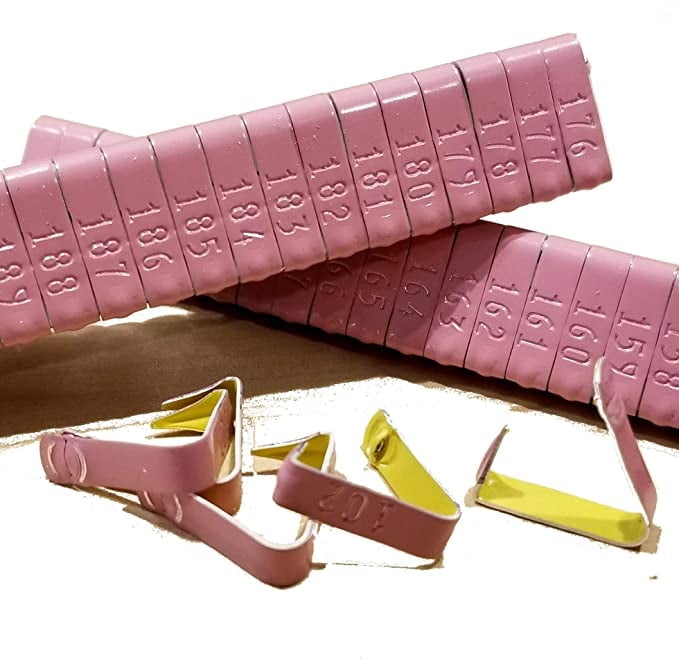 Pinnon Hatch Farms Numbered Pink Jiffy Wing Bands 700 Pieces - Walmart.com