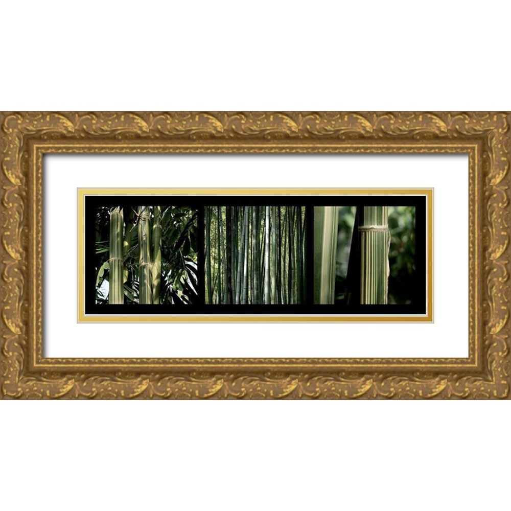 Pinsard, Laurent 18x9 Gold Ornate Wood Framed with Double Matting ...