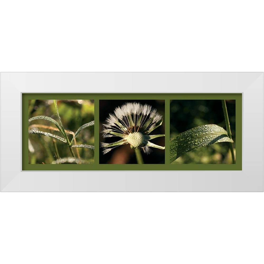 Pinsard, Laurent 18x9 White Modern Wood Framed Museum Art Print Titled ...