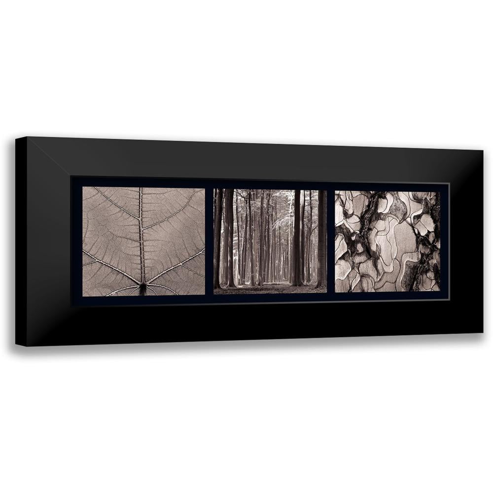 Pinsard, Laurent 24x11 Black Modern Framed Museum Art Print Titled ...