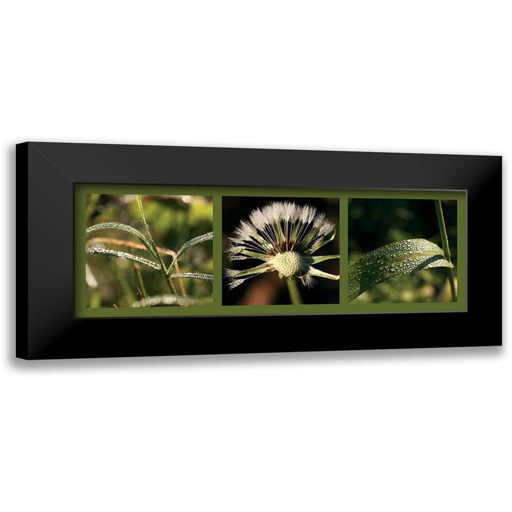 Pinsard, Laurent 24x11 Black Modern Framed Museum Art Print Titled ...