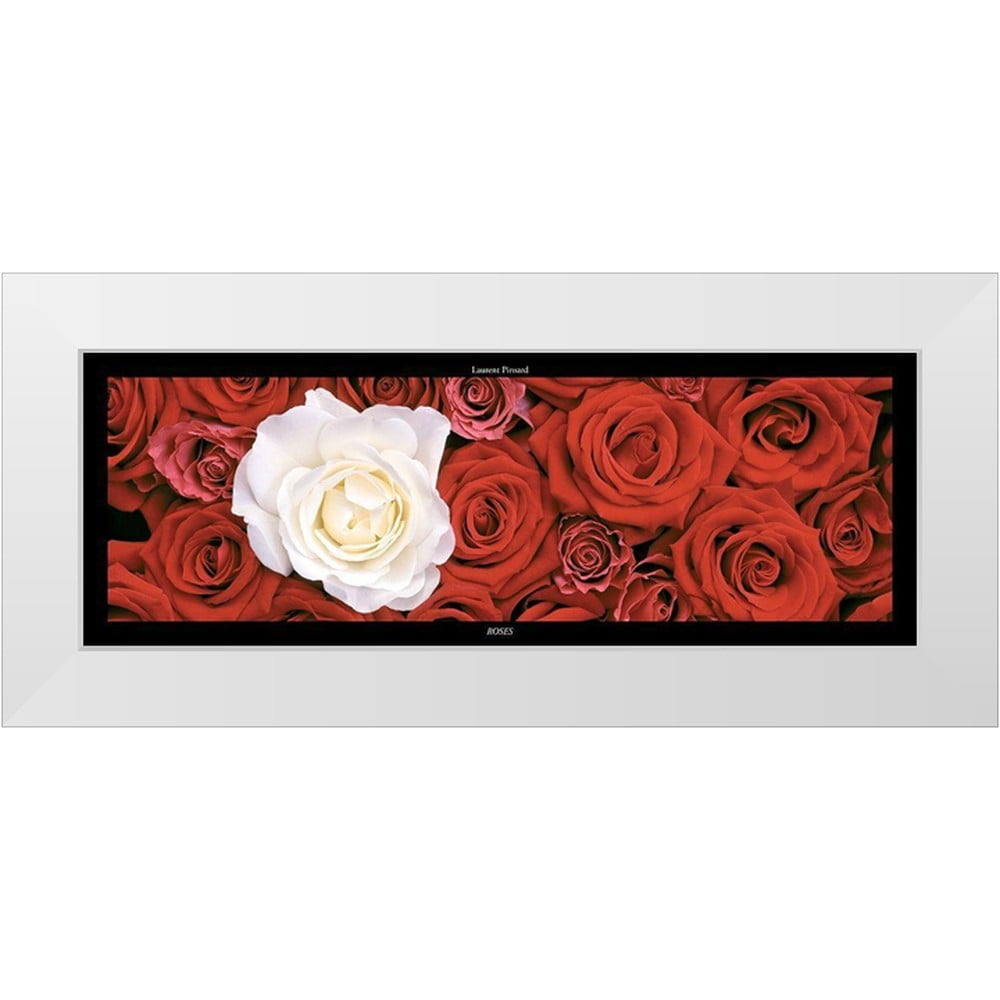 Pinsard, Laurent 24x11 White Modern Wood Framed Museum Art Print Titled ...