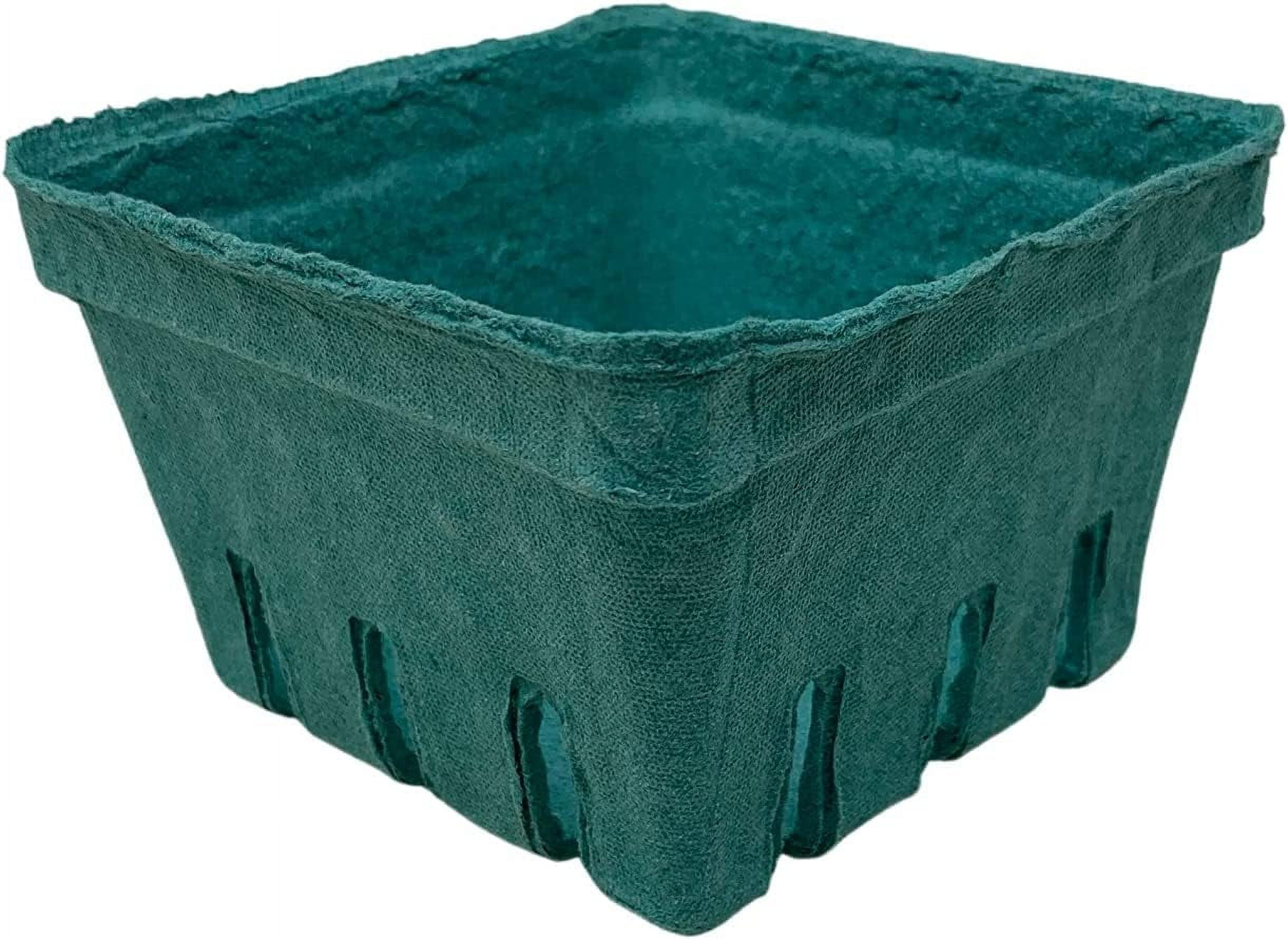 Pint Green Fiber Fruit Berry Pulp Basket Container for Blueberries ...