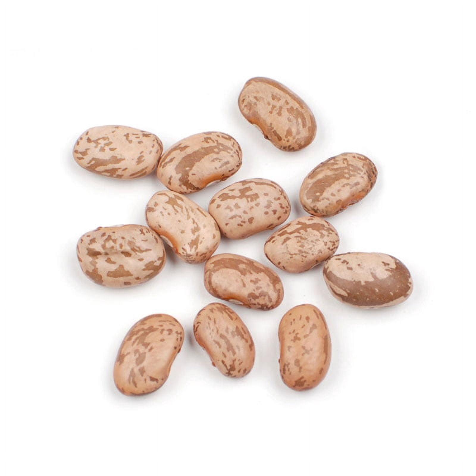 Pinto Beans, 25 Pound Box - Walmart.com