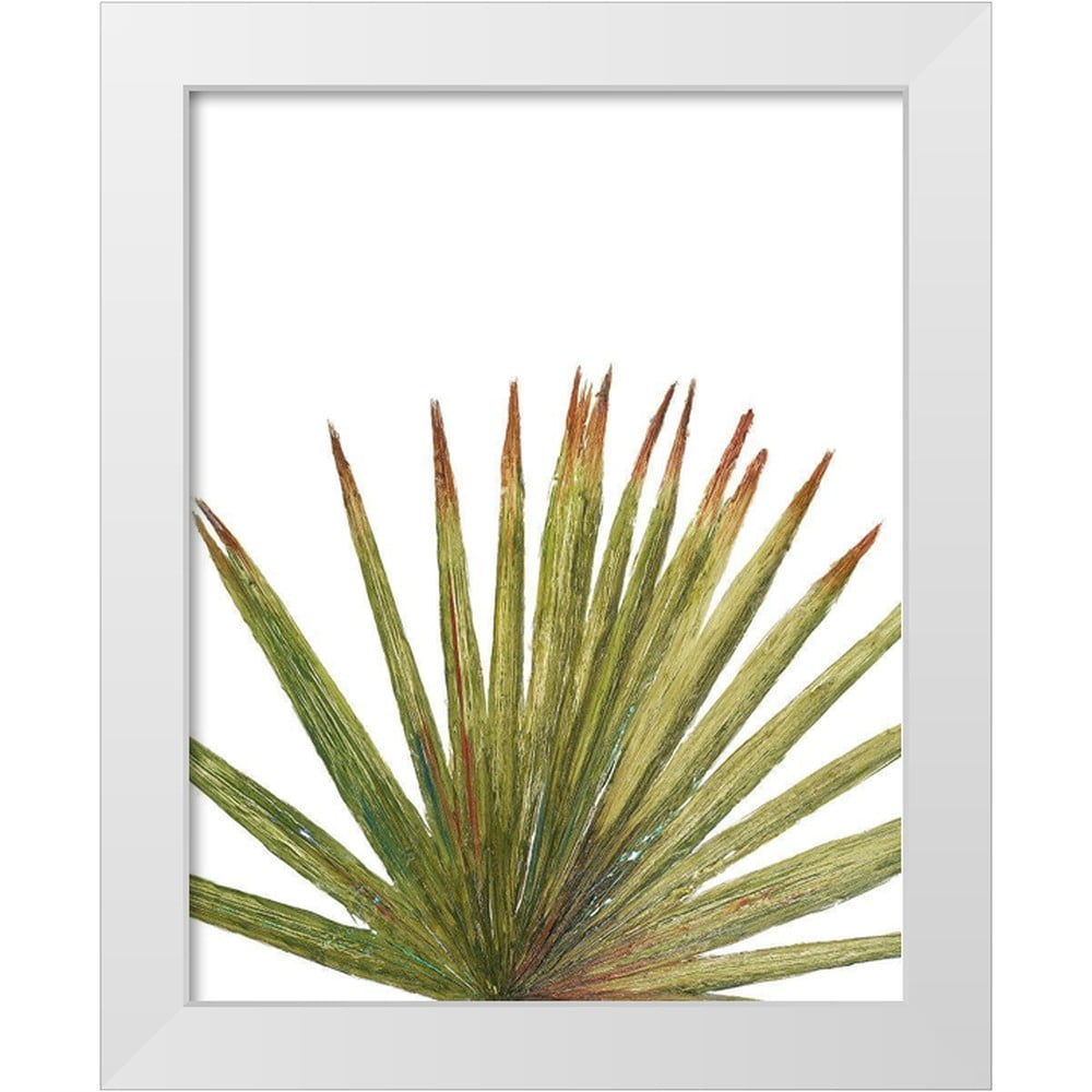 Pinto, Patricia 12x14 White Modern Wood Framed Museum Art Print Titled ...