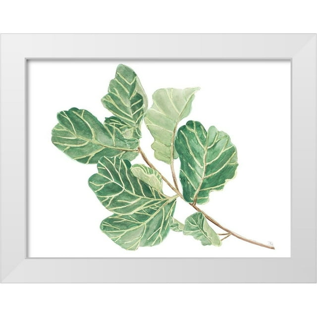 Pinto, Patricia 14x12 White Modern Wood Framed Museum Art Print Titled - Fiddle Fig Leaf II ...