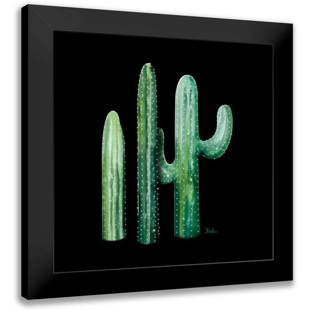 Pinto, Patricia 20x20 Black Modern Framed Museum Art Print Titled ...