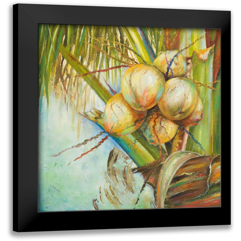Pinto, Patricia 20x20 Black Modern Framed Museum Art Print Titled - Patricias Coconuts II ...