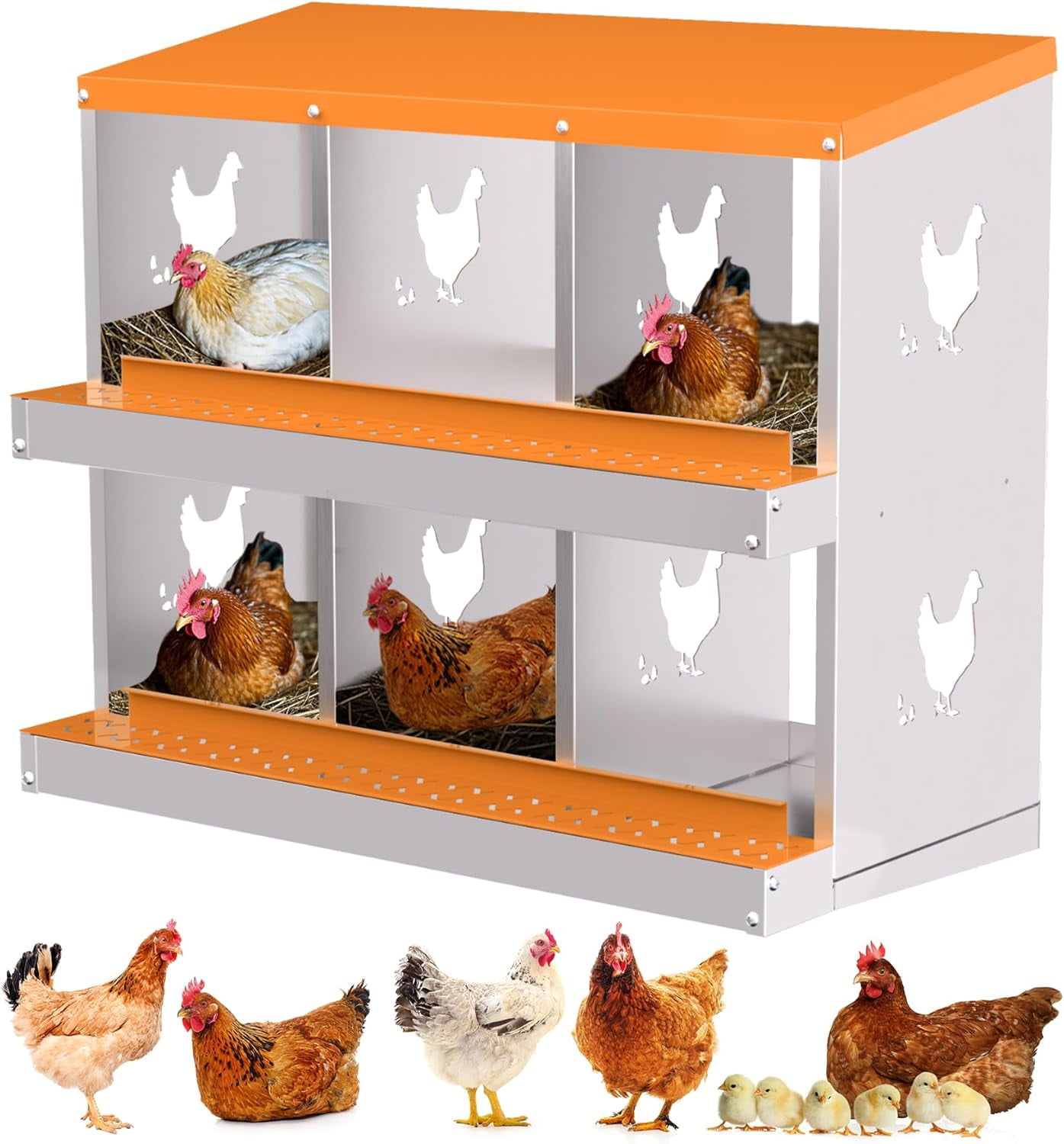 Pinypikaka Chicken Nesting Box 6 Compartments Metal Chicken Laying Box ...