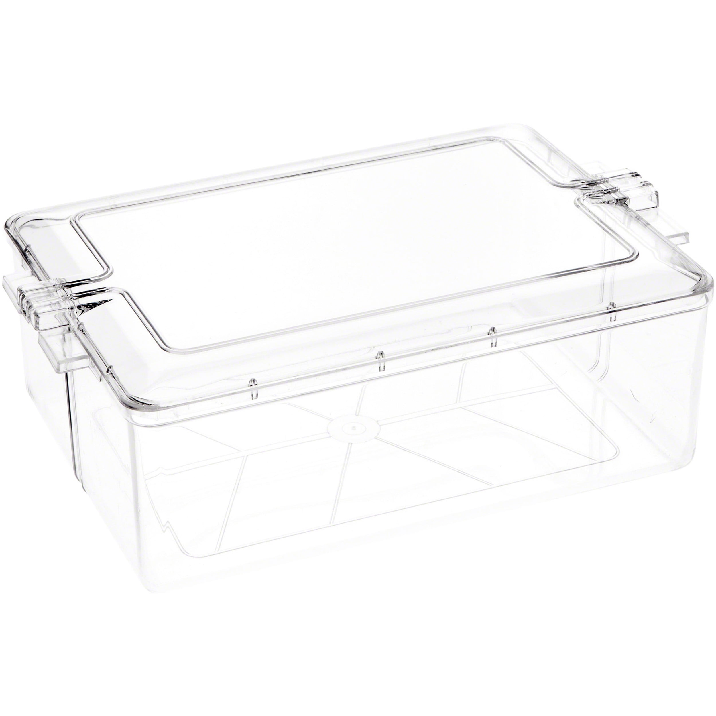 Pioneer Plastics 195C Clear Rectangular Plastic Container, 10.625" W x ...